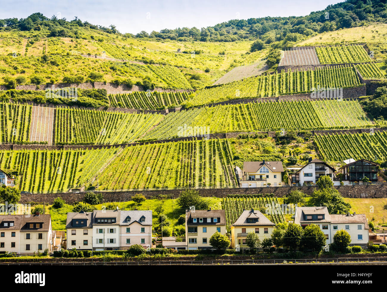 Wine producing region hi-res stock photography and images - Alamy