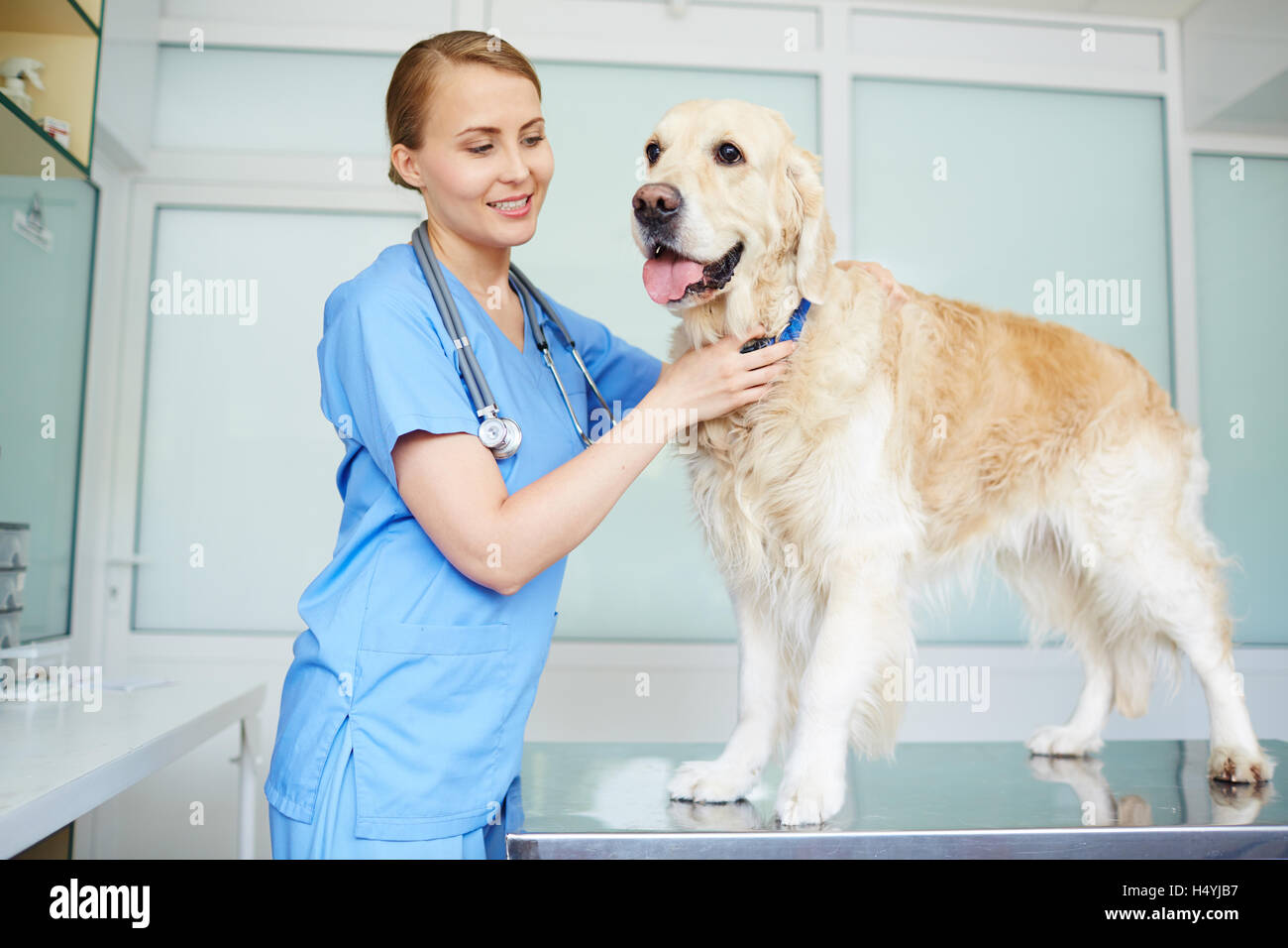 Happy young doctor working in vet clinic Stock Photo - Alamy