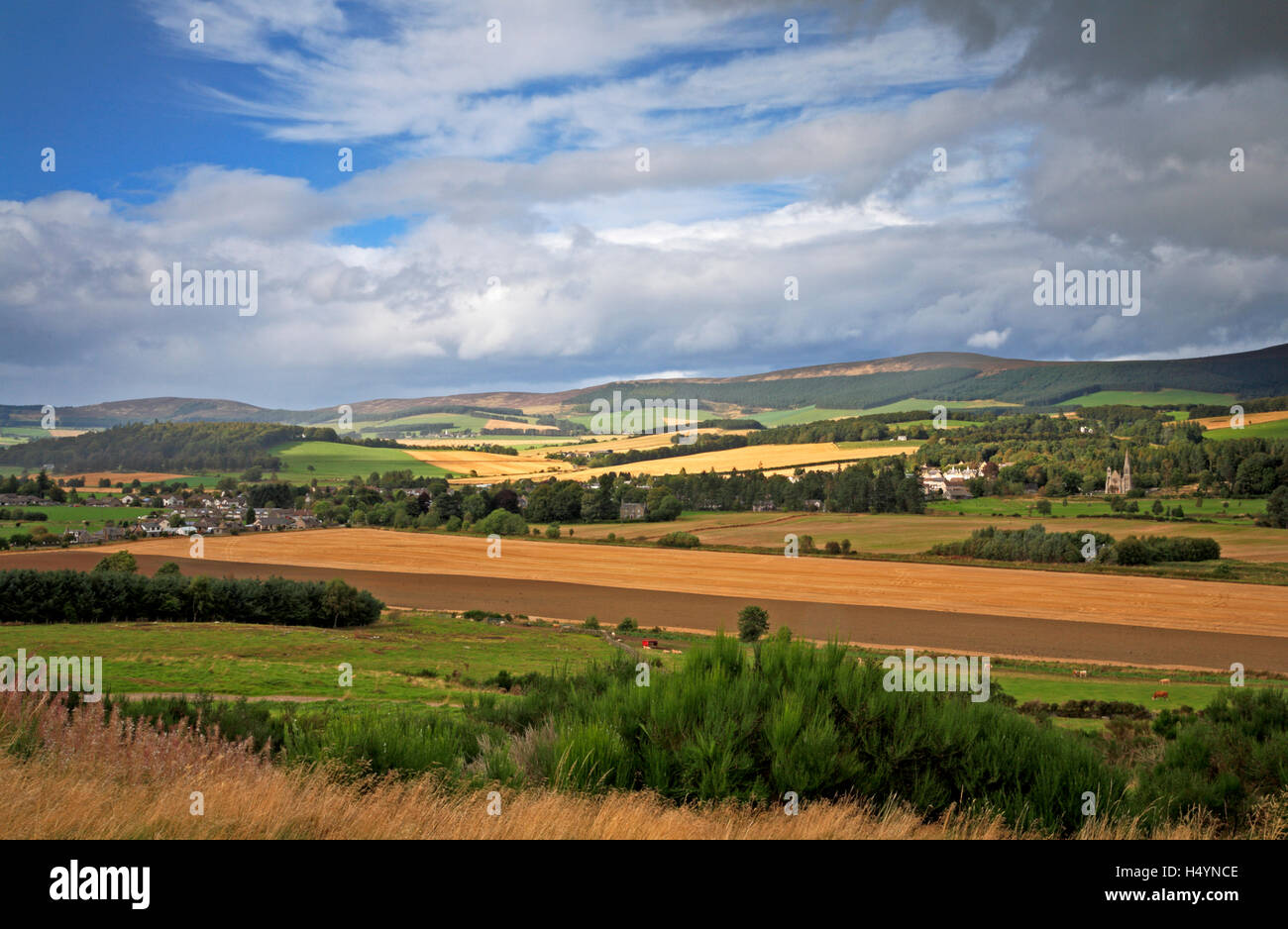 A view of rolling hills with patchwork landscape around Tarland ...