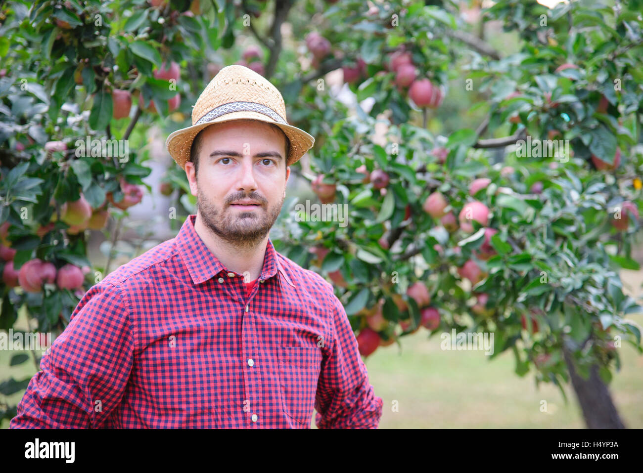 Farmer in the countryside next to an apple tree Stock Photo - Alamy