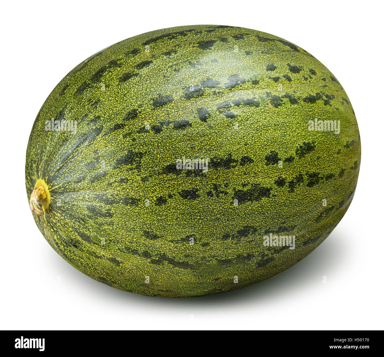 Green melon isolated on white background with clipping path Stock Photo ...