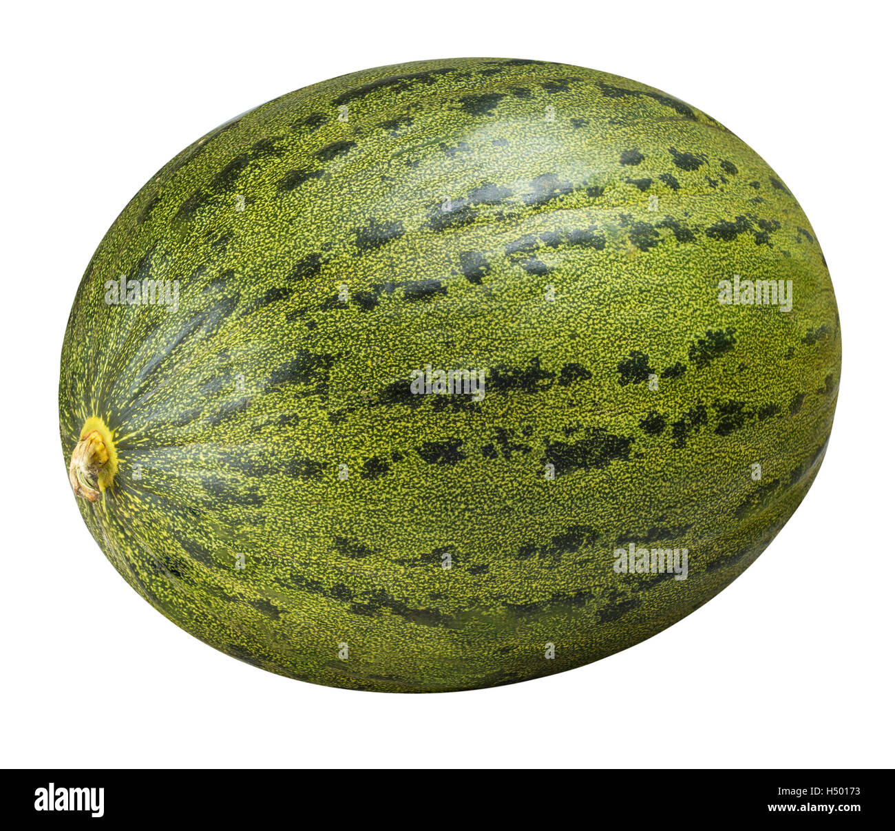Green melon isolated on white background with clipping path Stock Photo ...