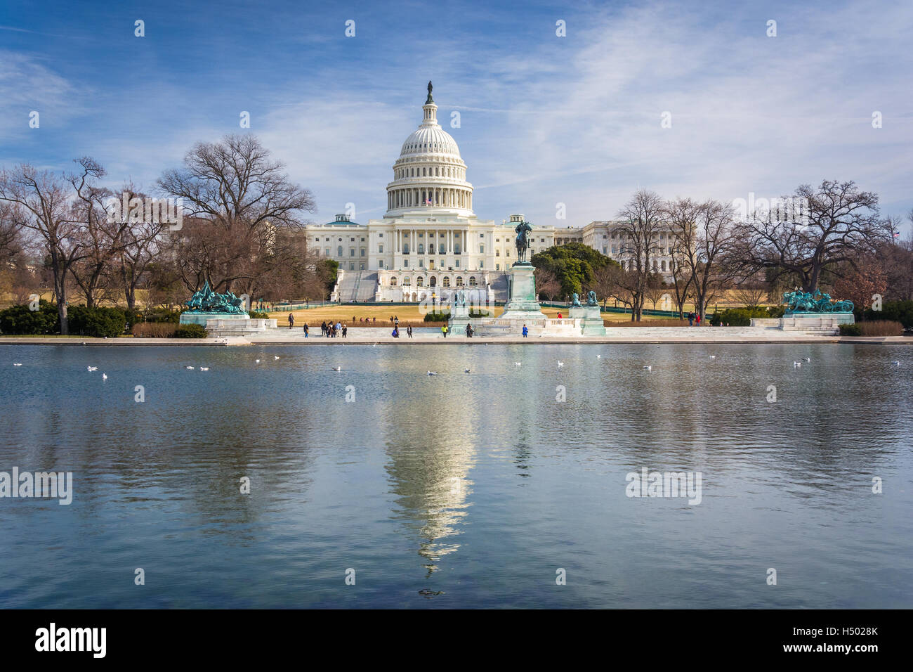 The United States Capitol and reflecting pool in Washington, DC Stock ...