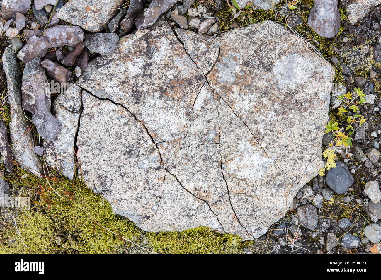 Frost leaves Destructive Patterns in a Stone, Iceland Stock Photo - Alamy