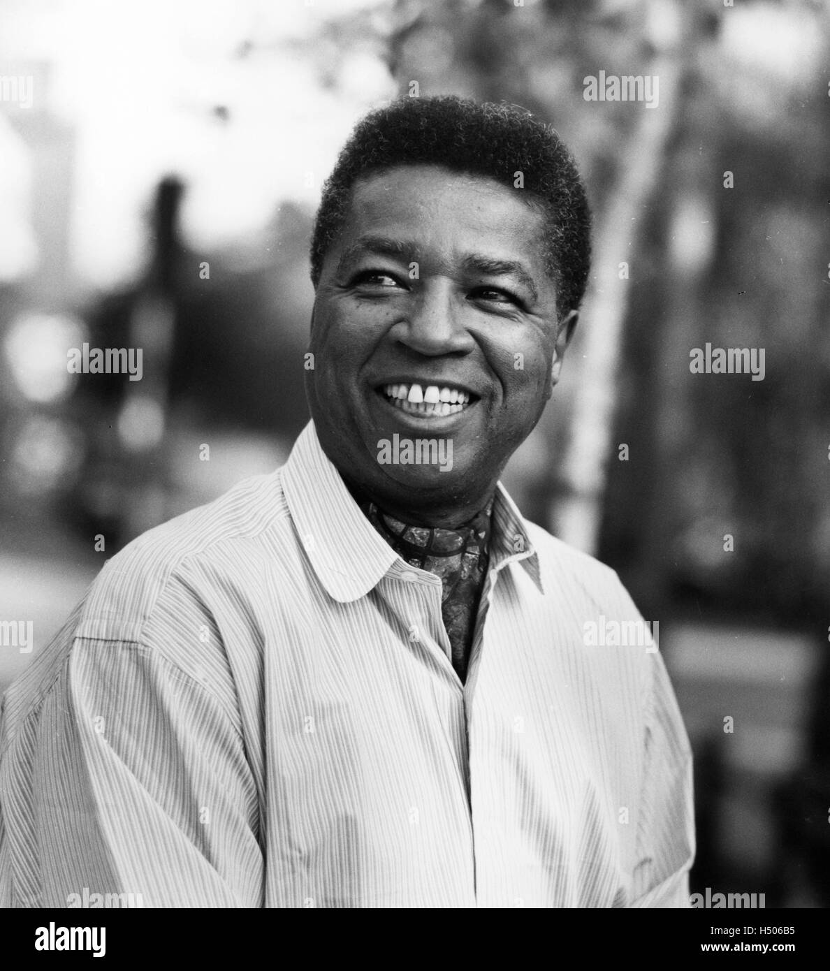 Alvin not afrai hi-res stock photography and images - Alamy