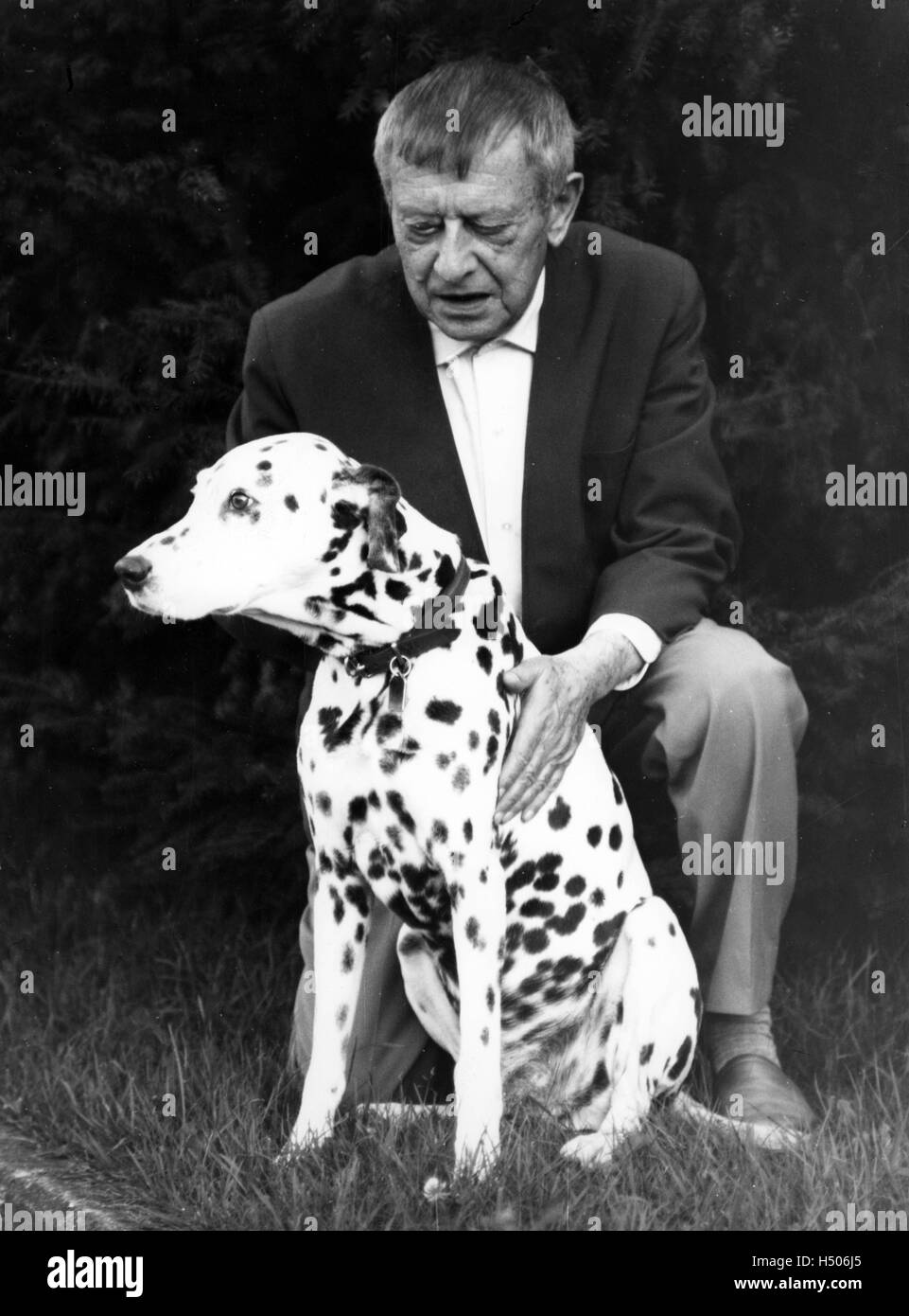 Dr roth hi-res stock photography and images - Alamy