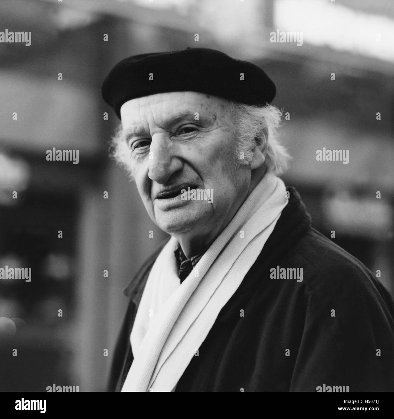 Portrait of meier hi-res stock photography and images - Alamy