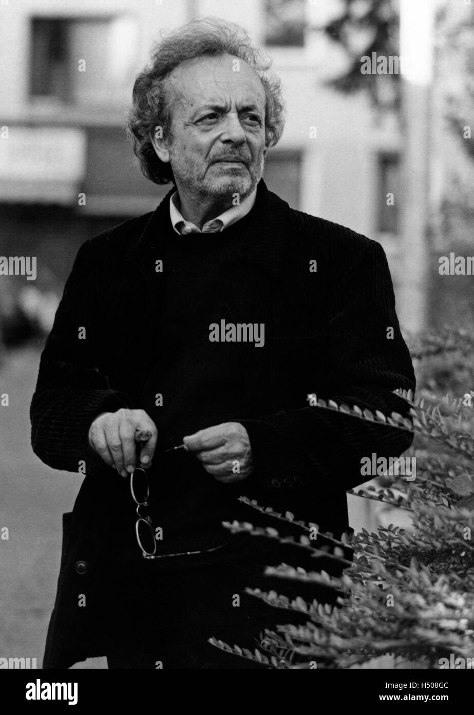 Ali Ahmad Said Stock Photo - Alamy