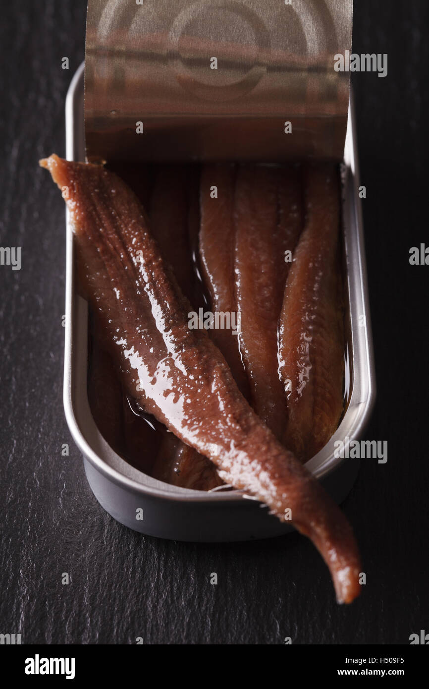 Anchovy fillets in tin macro on a slate board. vertical Stock Photo - Alamy