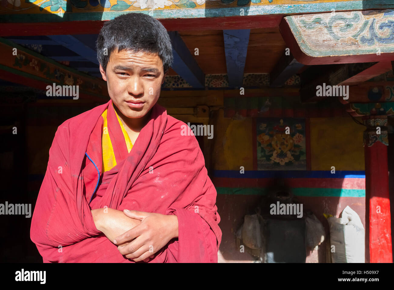 Cho young hi-res stock photography and images - Alamy