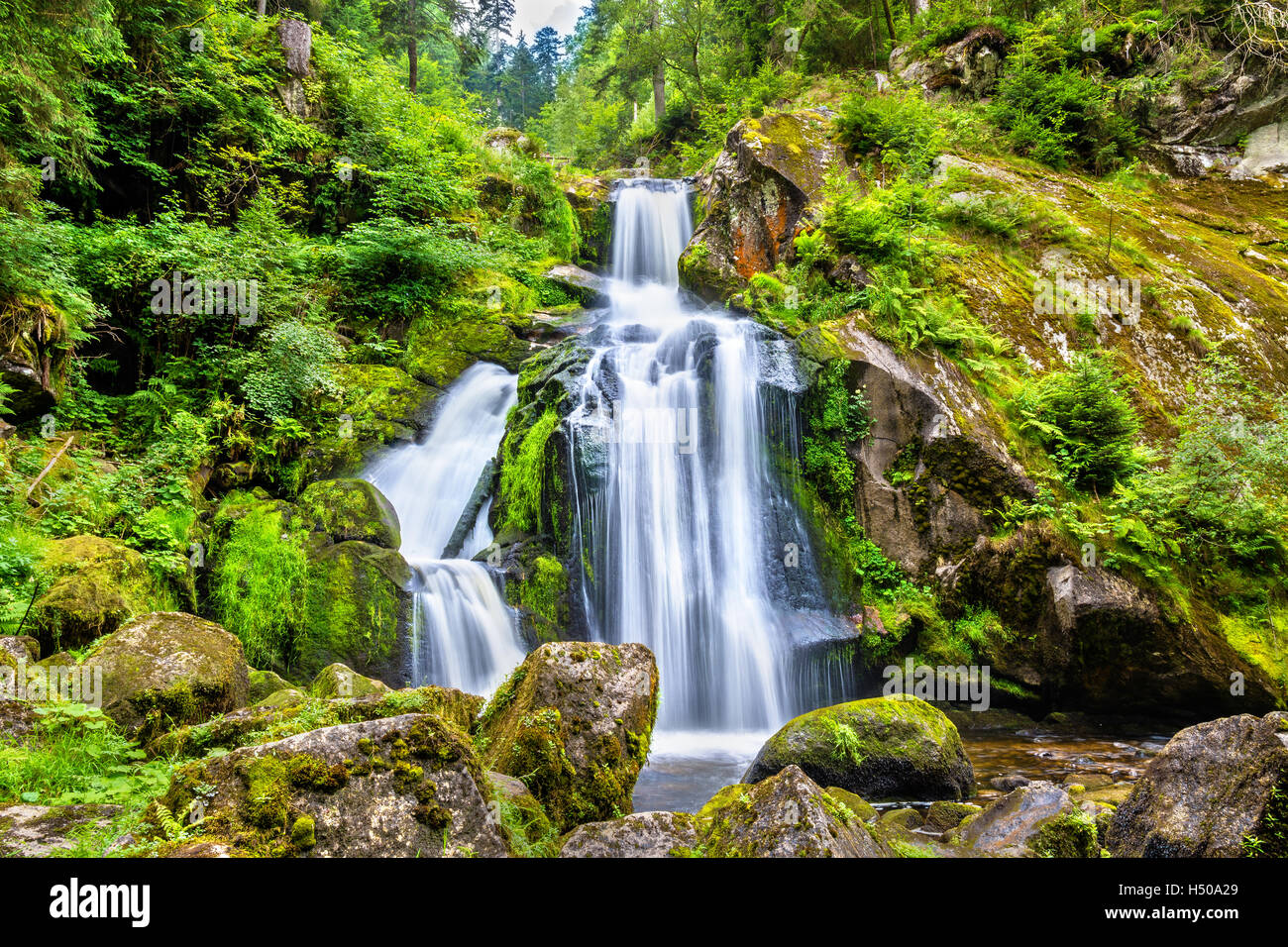 Triberg Falls, one of the highest waterfalls in Germany Stock Photo - Alamy