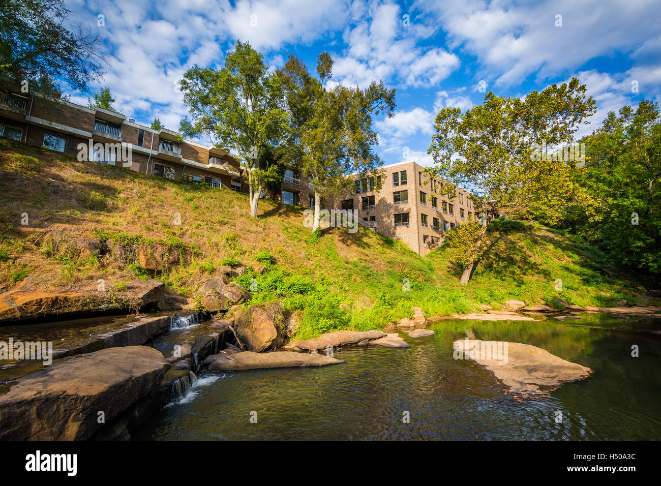 The Reedy River at Falls Park on the Reedy, in Greenville, South Carolina Stock Photo - Alamy
