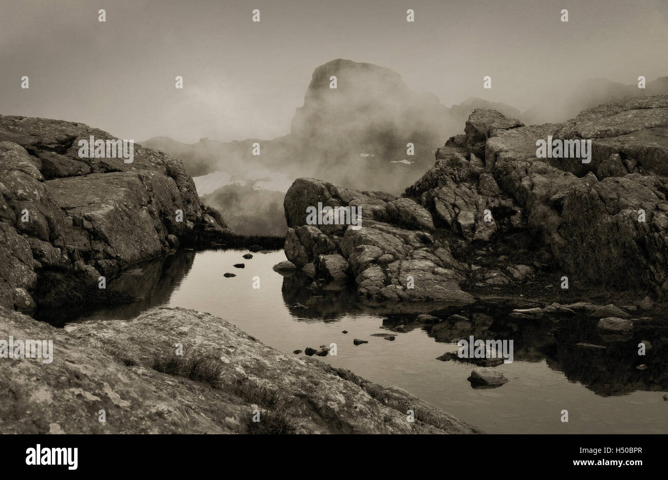 Path to the wild Stock Photo - Alamy