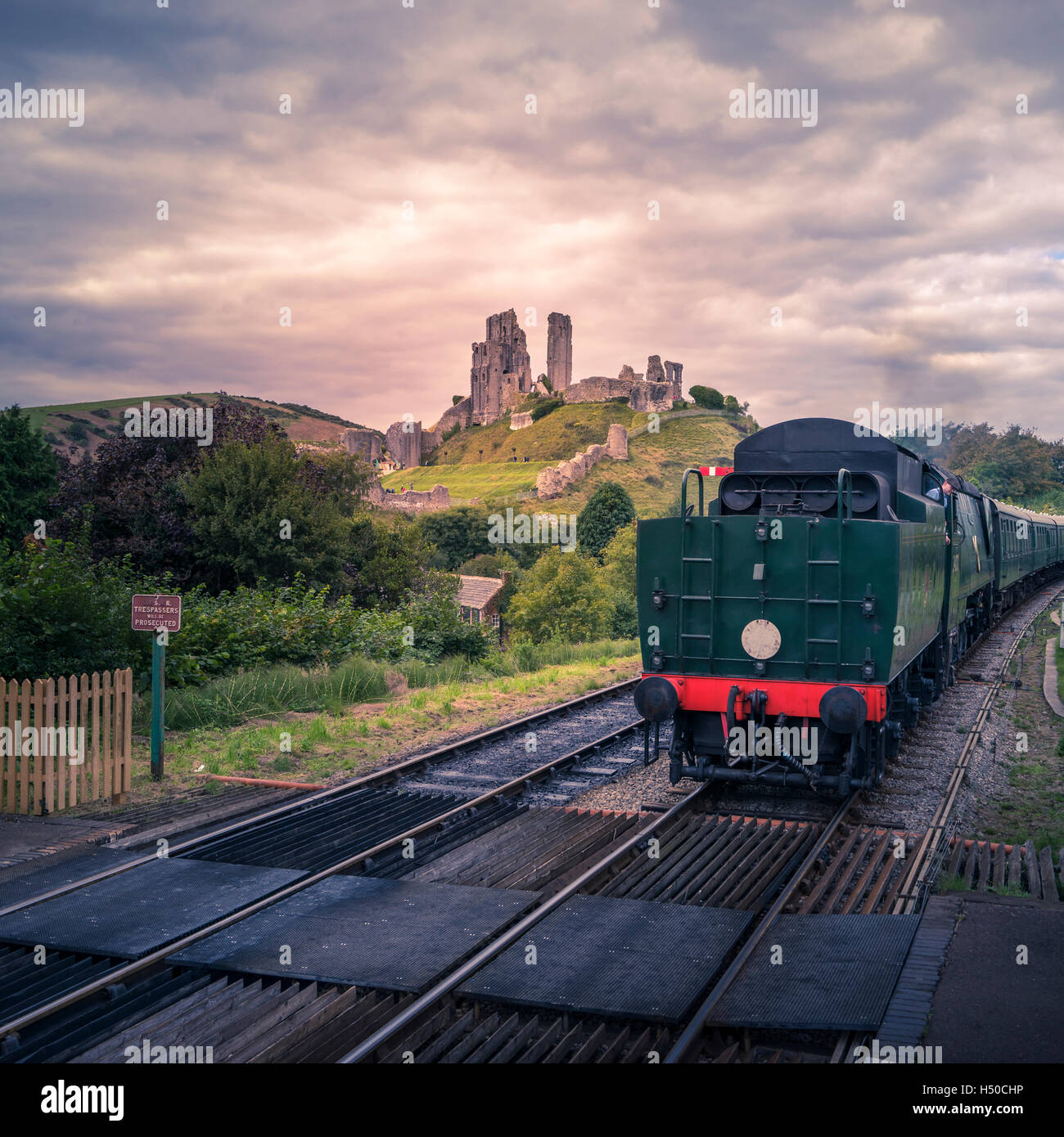 TRAIN AT CORFE CASTLE Stock Photo - Alamy