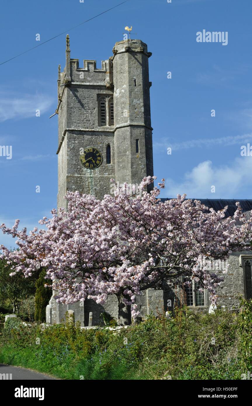The Church of Saint Peter in Portesham, Dorset, is part of Dorset ...