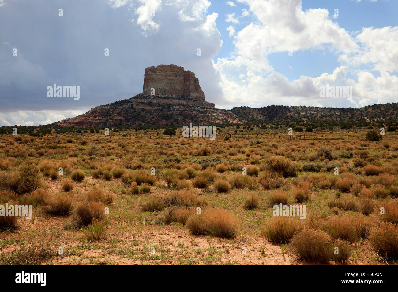 Arizona landscape, Arizona, USA Stock Photo - Alamy