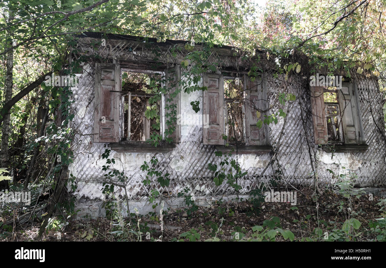 Abandoned houses in Chernobyl Stock Photo - Alamy