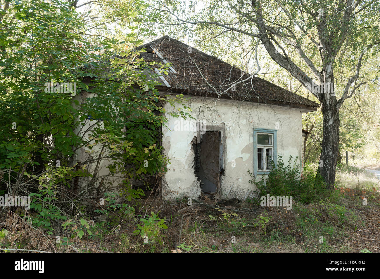 Abandoned houses in Chernobyl Stock Photo - Alamy