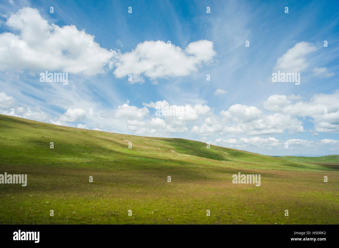 Zoige grassland in Sichuan, China Stock Photo - Alamy