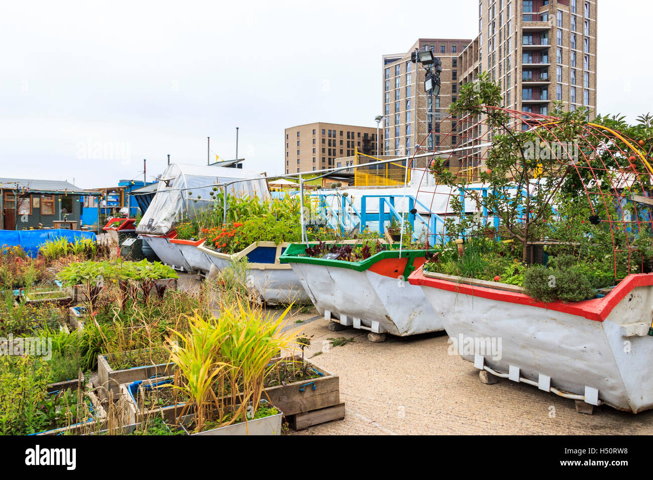 The Skip Garden, a community garden providing a green oasis in the ...