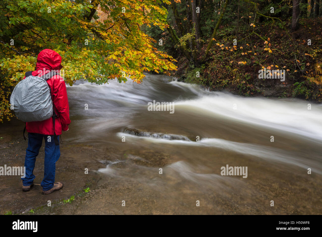 Photographer watching fast flowing Millstone River and waterfall on ...