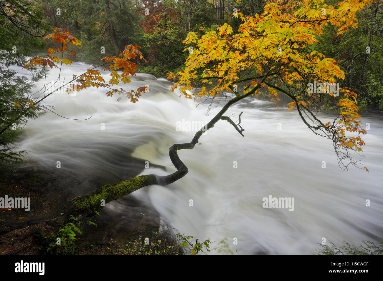 Bowen island canada hi-res stock photography and images - Alamy