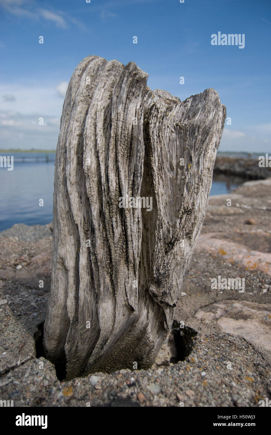 Old wooden Bollard Stock Photo - Alamy