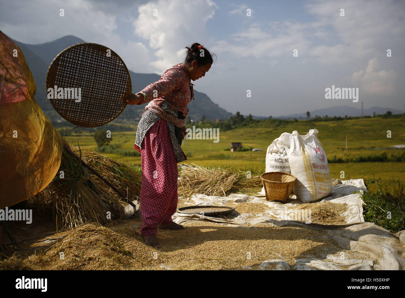 With rice hulls hi-res stock photography and images - Alamy