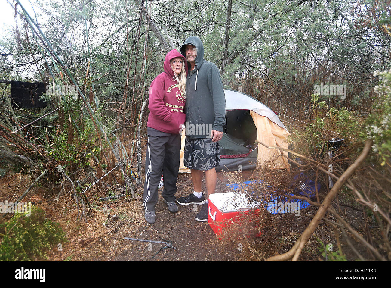Eardley High Resolution Stock Photography and Images - Alamy