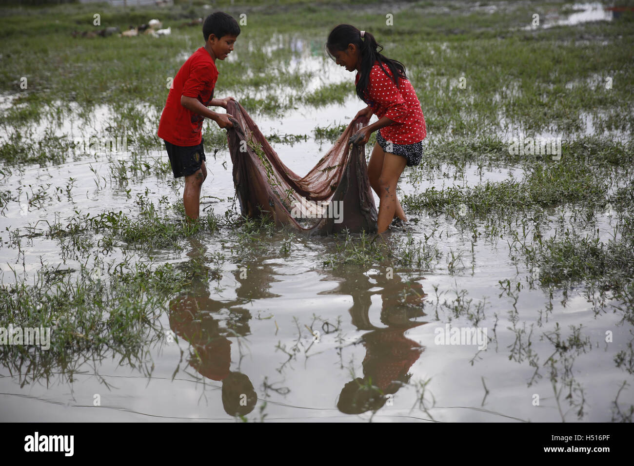 Kathmandu, Nepal. 19th Oct, 2016. Nepalese children try to catch local ...