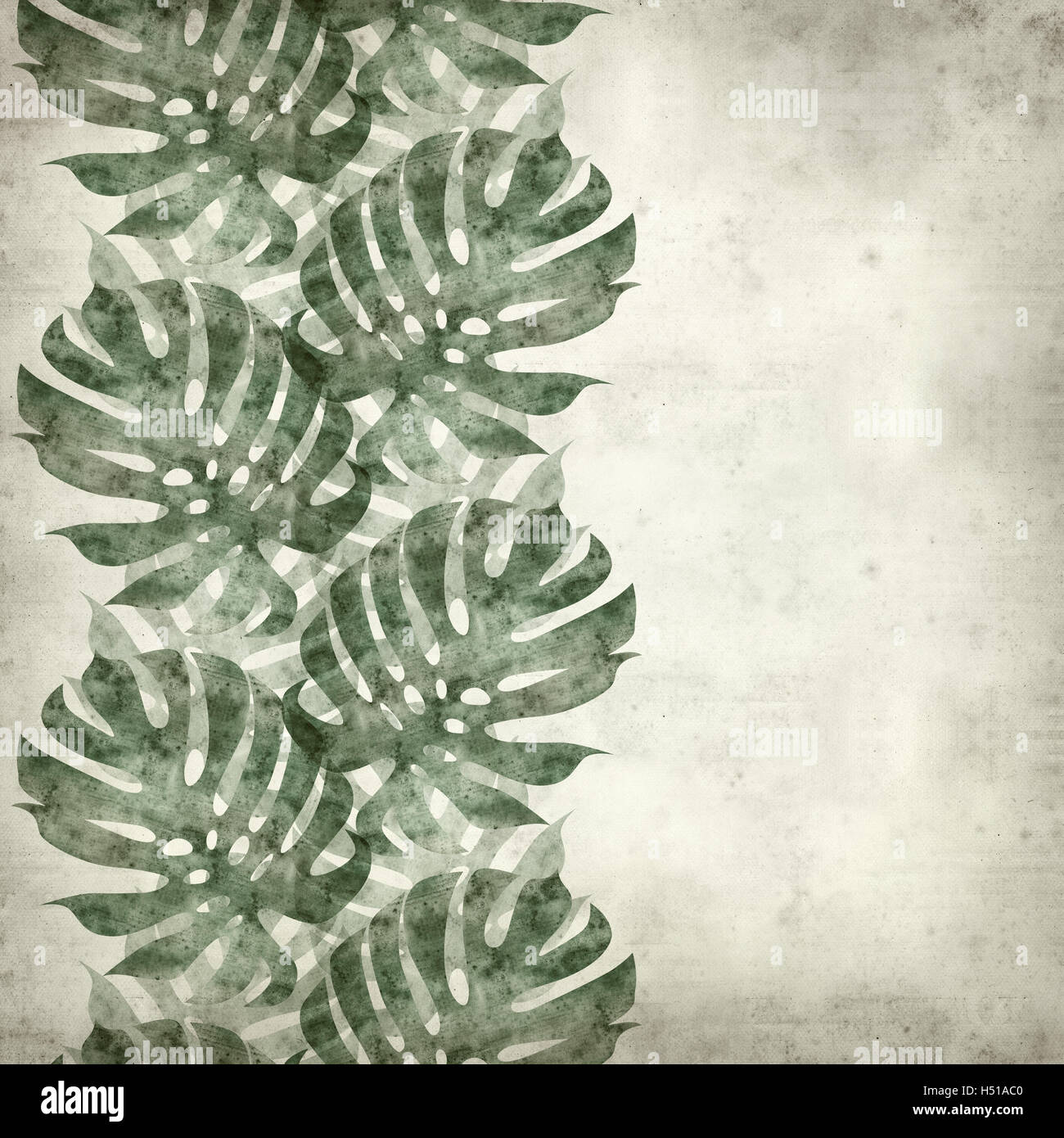 textured old paper background with monstera leaf border Stock Photo - Alamy