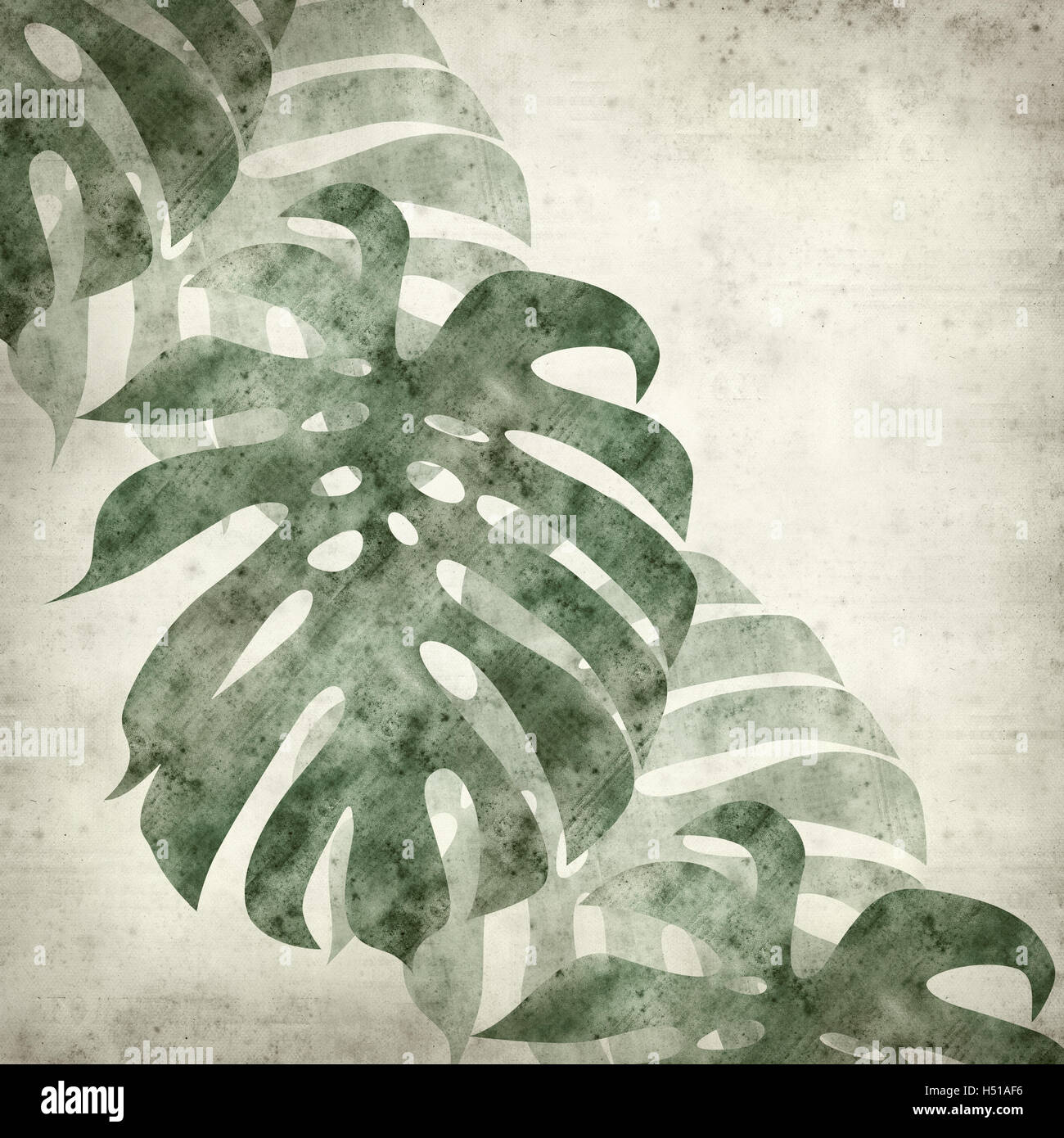 textured old paper background with monstera leaf border Stock Photo - Alamy