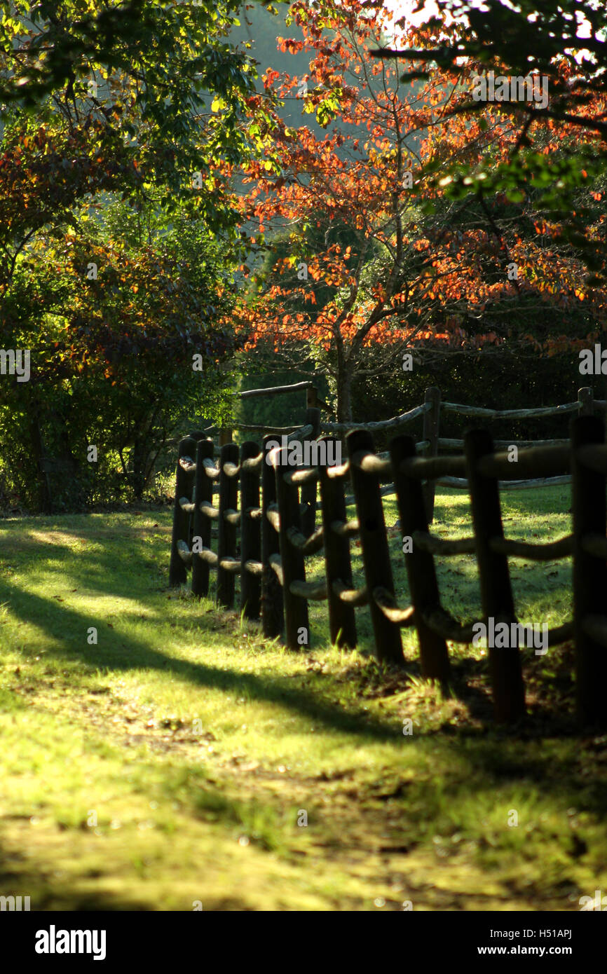 Summer in the countryside Stock Photo - Alamy