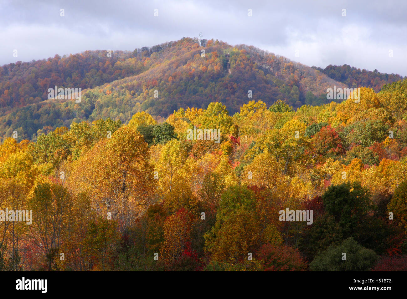 Fall landscape in Blue Ridge Mountains, Virginia, USA Stock Photo - Alamy