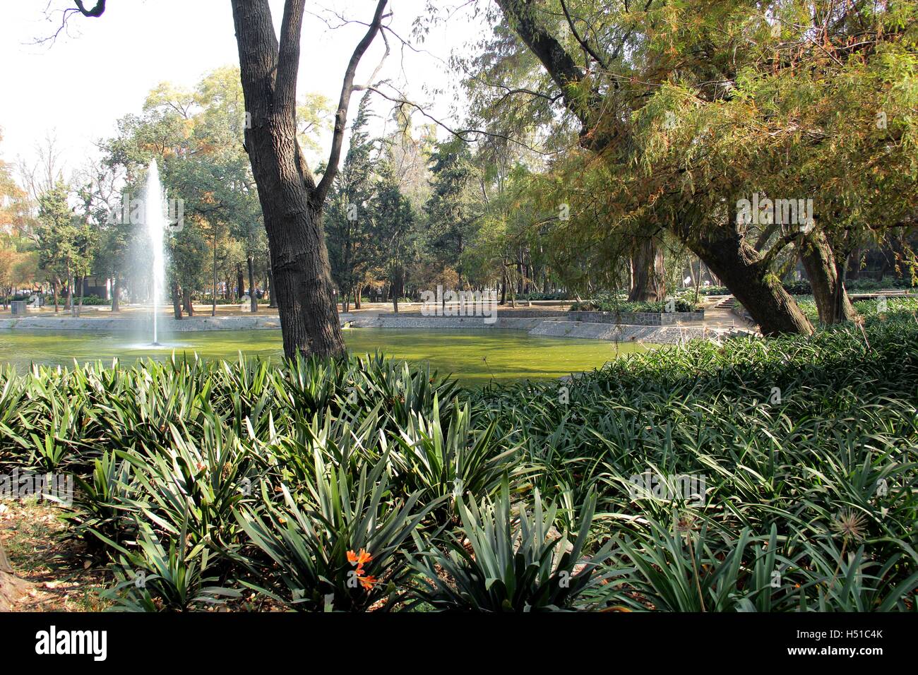 Park Chapultepec in Mexico city Stock Photo - Alamy