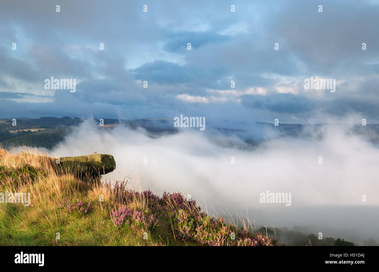 British Moors in Mist with Heather Flowers in Season Stock Photo - Alamy