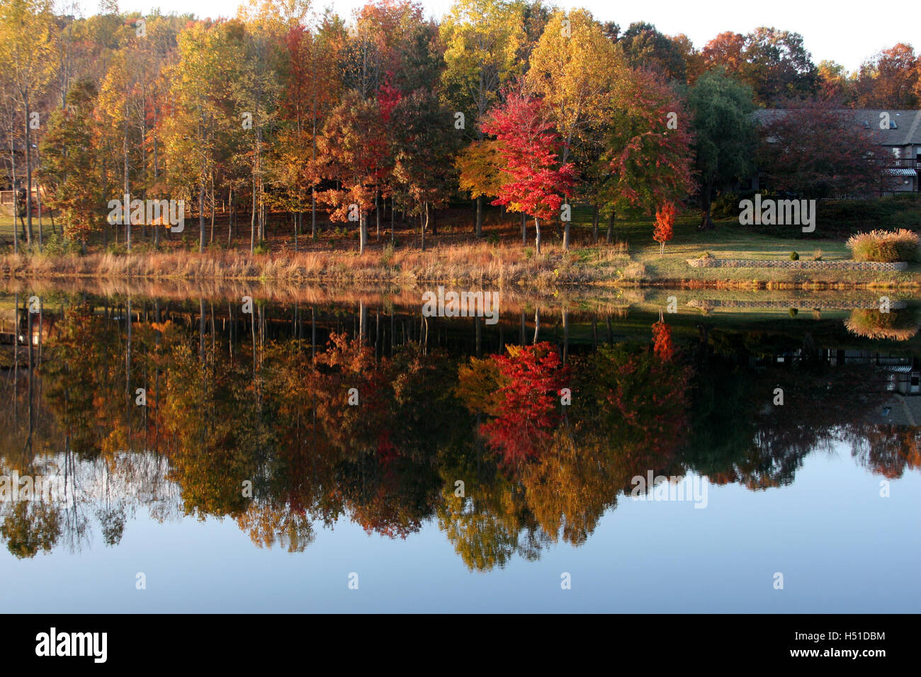 Reflections of trees in the lake in the fall Stock Photo - Alamy