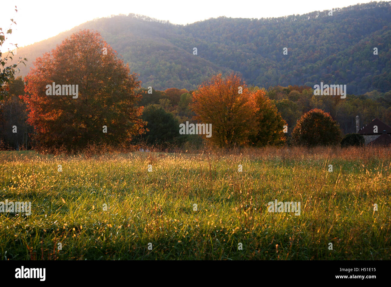 Fall landscape in Blue Ridge Mountains, Virginia, USA Stock Photo - Alamy