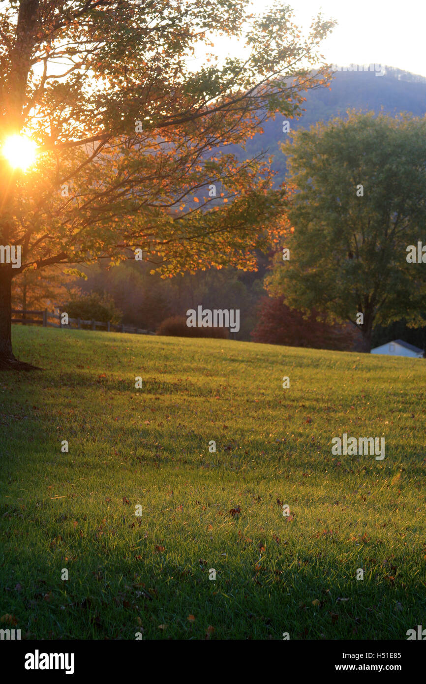 Fall landscape in Blue Ridge Mountains, Virginia, USA Stock Photo - Alamy