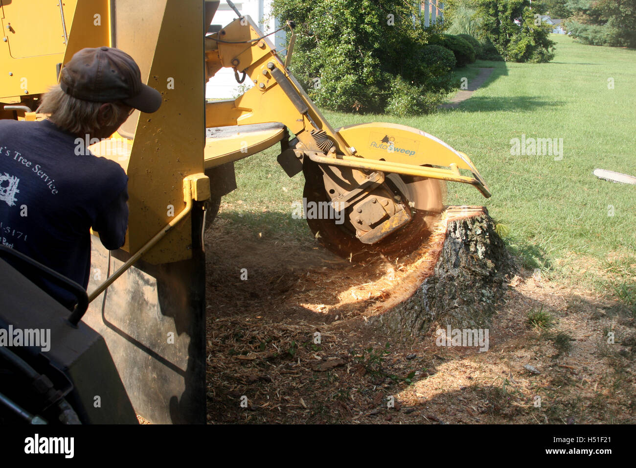 Stump grinder at work Stock Photo - Alamy