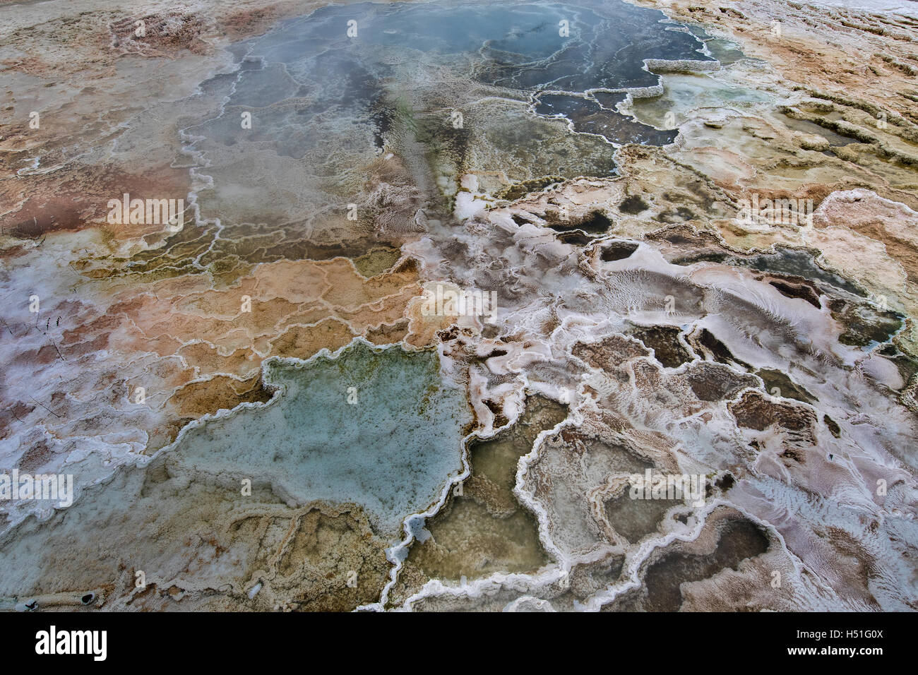 Details of calcareous deposits hi-res stock photography and images - Alamy