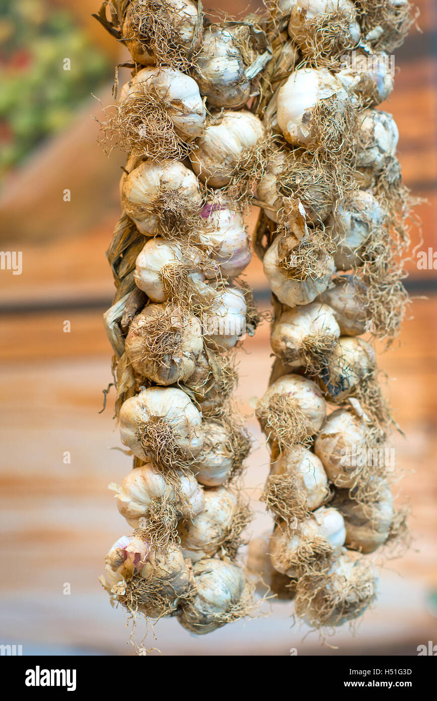 Garlic hanging from a market street in the city Stock Photo - Alamy