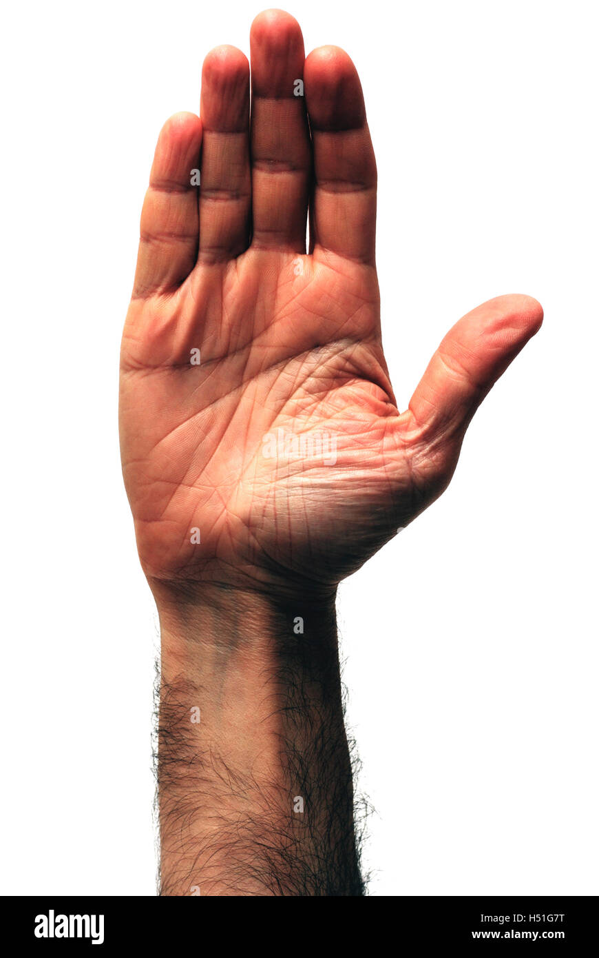 palm of hand, male Stock Photo - Alamy