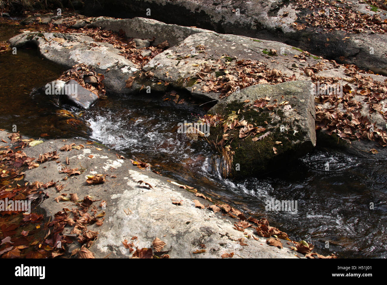 Mountain stream through rocks Stock Photo - Alamy