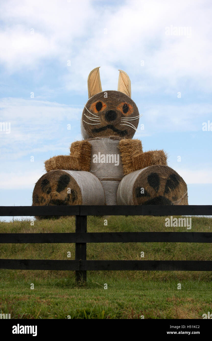 Hay bale bunny Stock Photo - Alamy