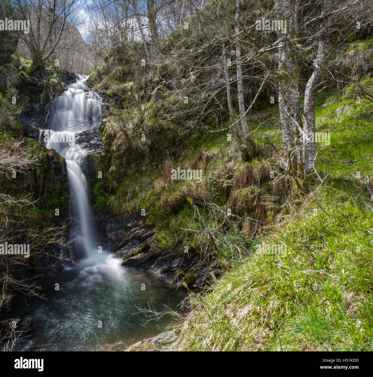 waterfall and birches in a beautiful corner of the Serra do Courel ...