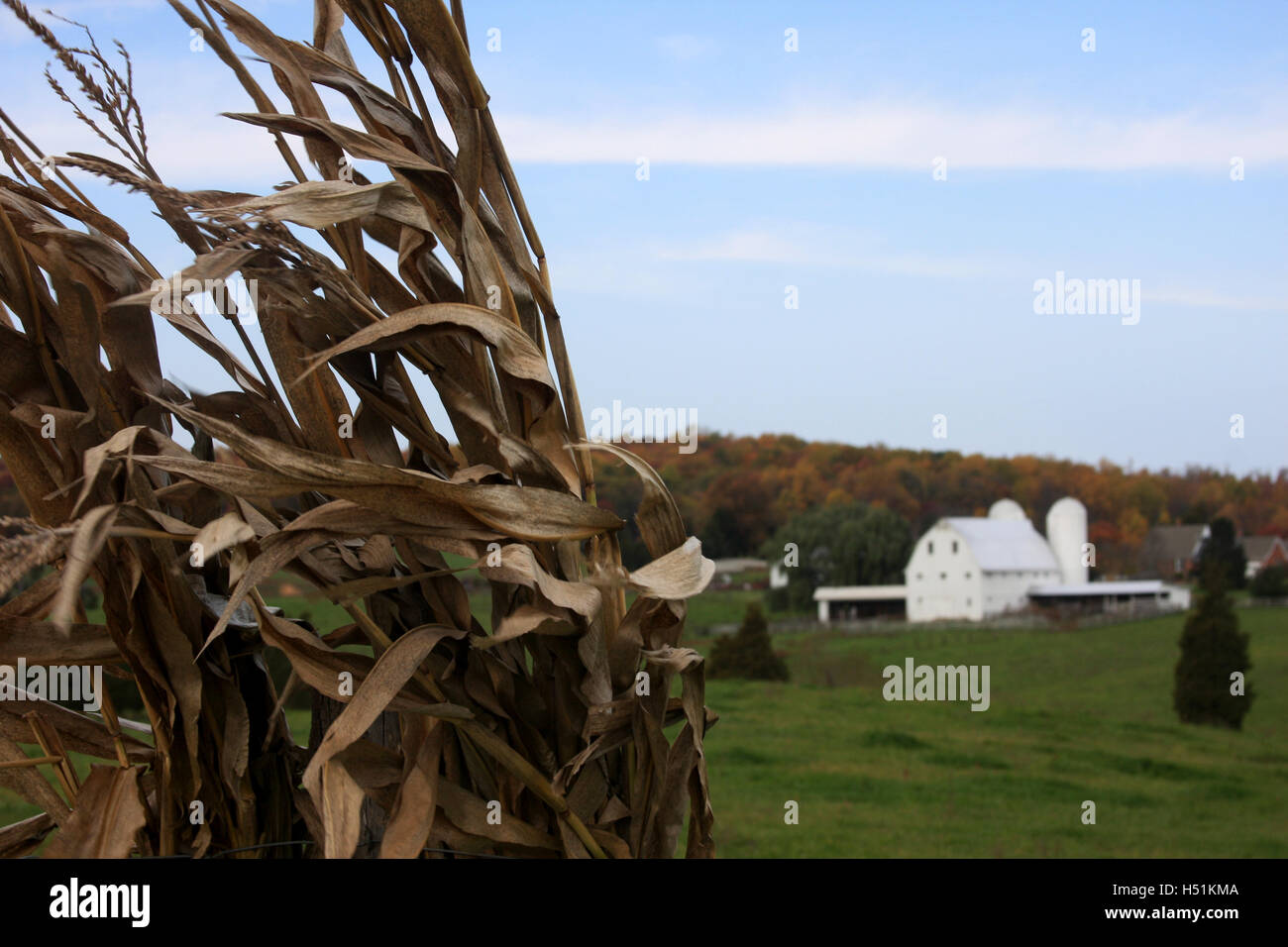 Landscape scene farm silos barn hi-res stock photography and images - Alamy
