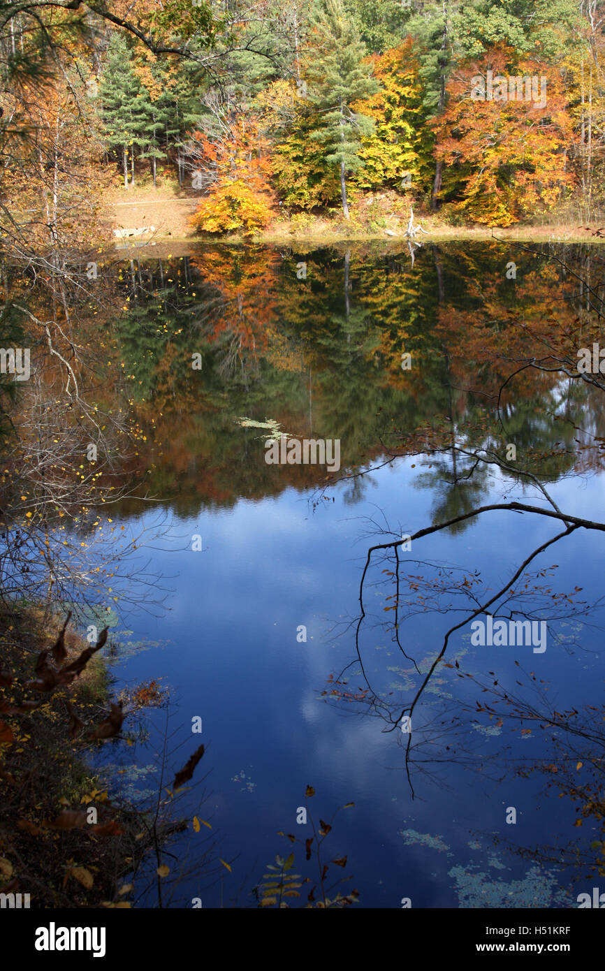 Reflections of trees in the lake in the fall Stock Photo - Alamy