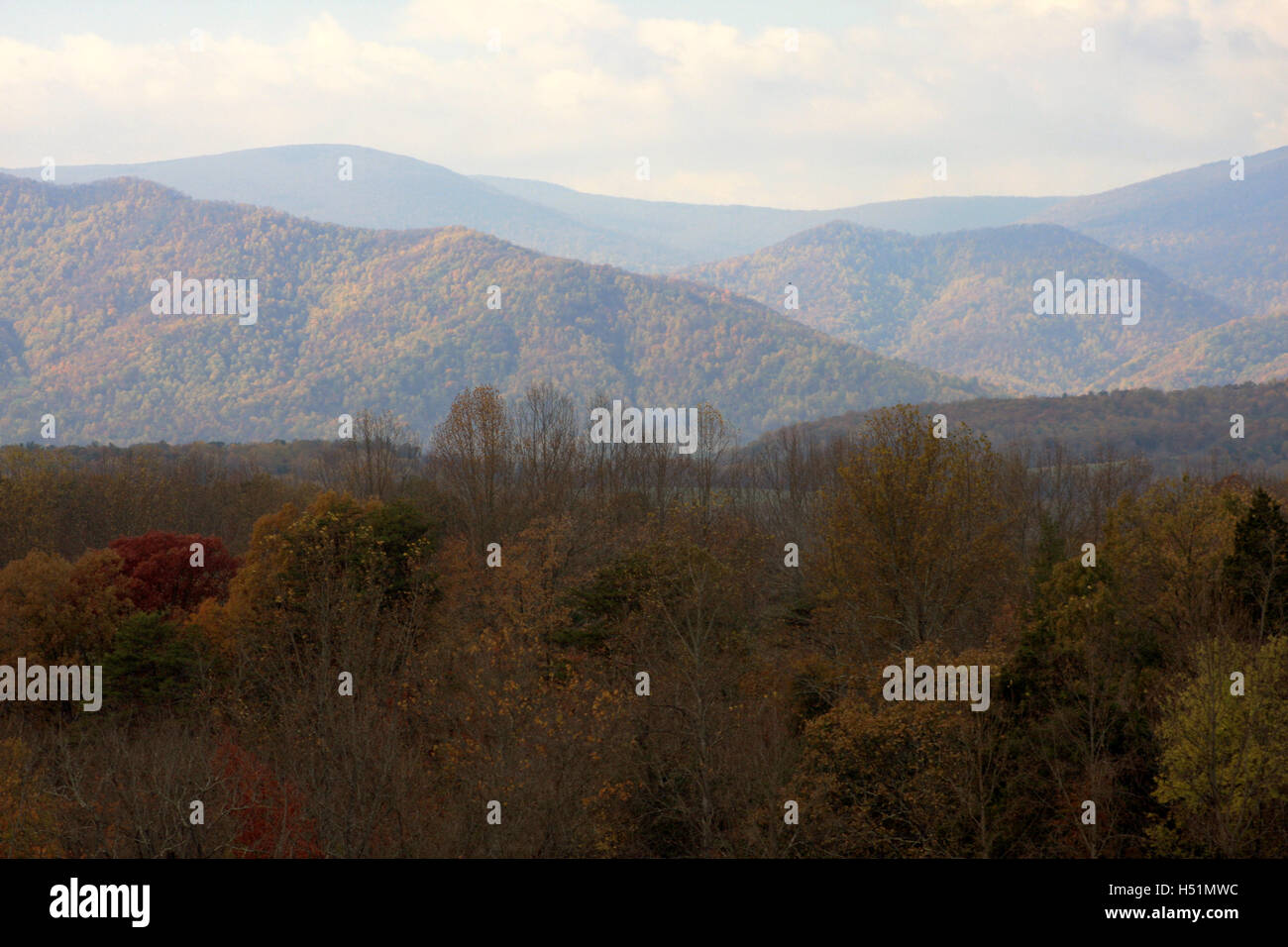 Fall landscape in Blue Ridge Mountains, Virginia Stock Photo - Alamy
