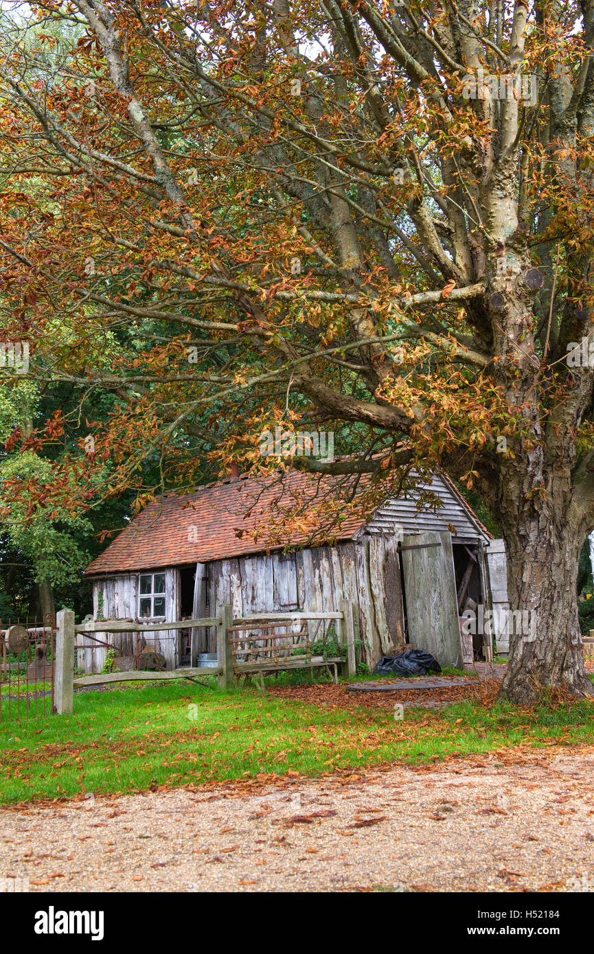 The Smithy / Forge in autumn at Weald and Downland open air museum ...